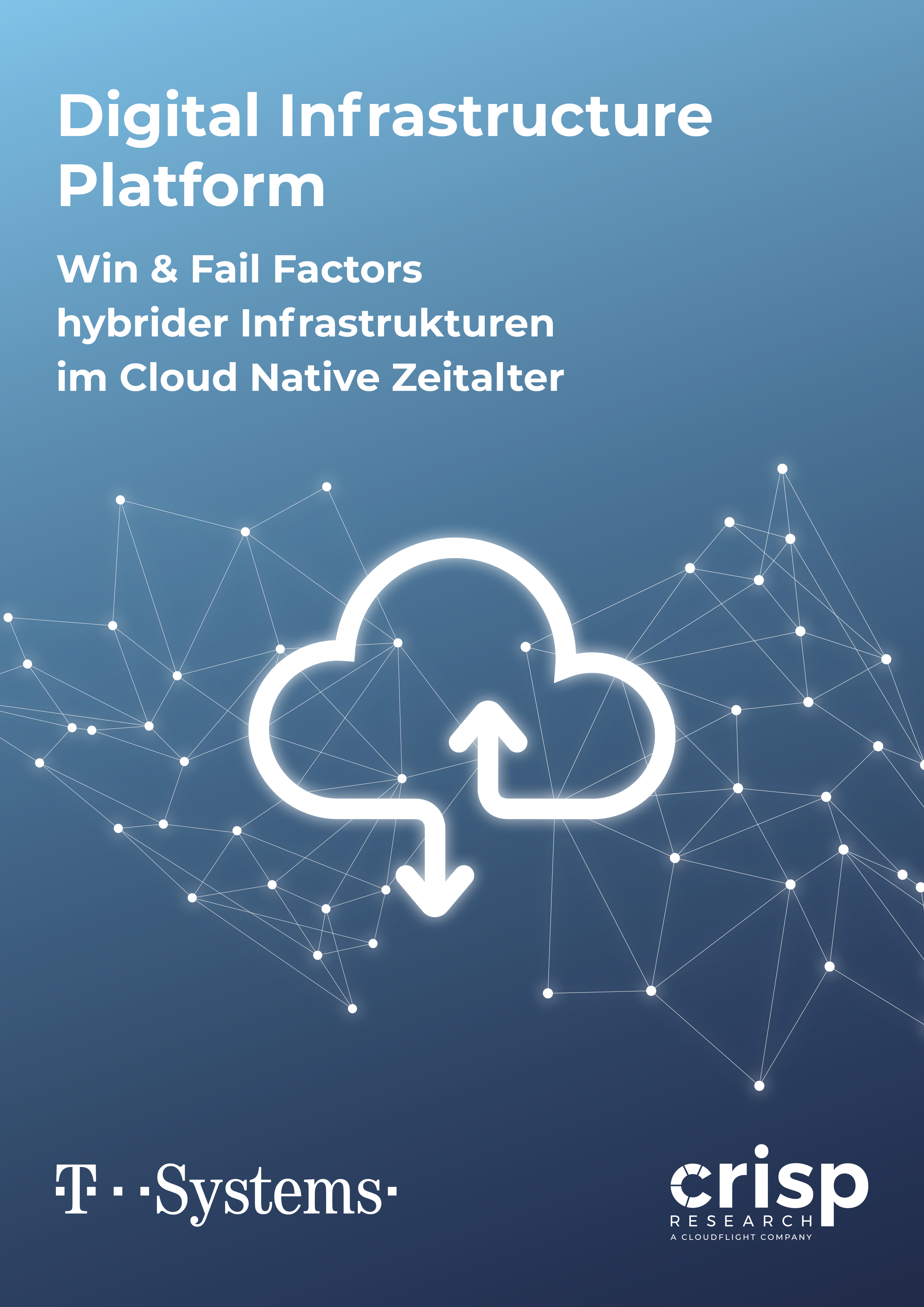 Digital Infrastructure Platform | Cloudflight