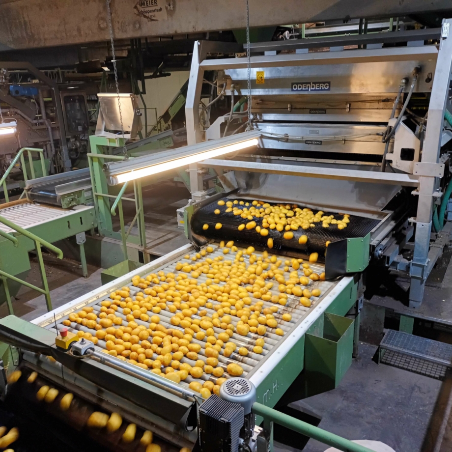 Digitalization of packing operations | Cloudflight